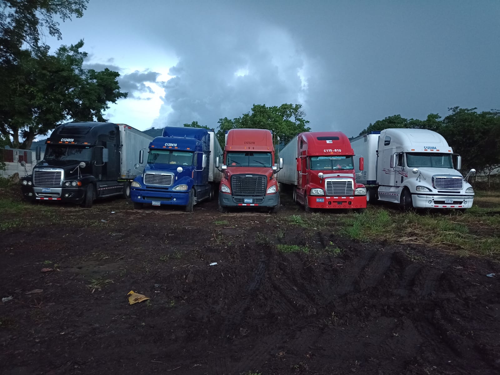 Mercados y Finanzas - International Transport Logistics (ITL) apuesta ...