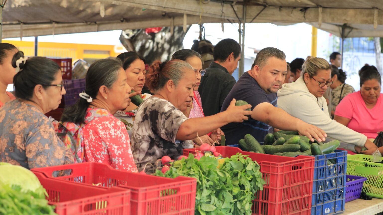Mercados y Finanzas - $20 millones para agromercados: más apoyo a ...